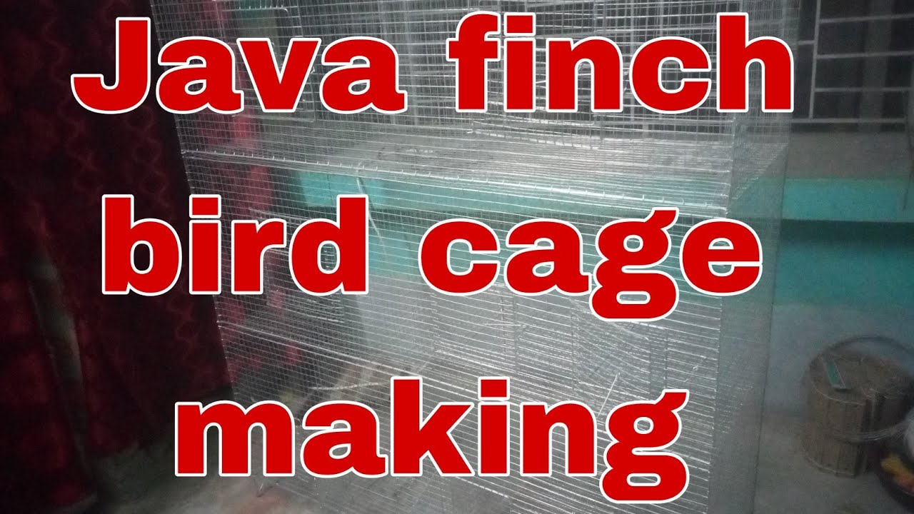 Java fince bird cage making/how to make Java fince bird cage making ...