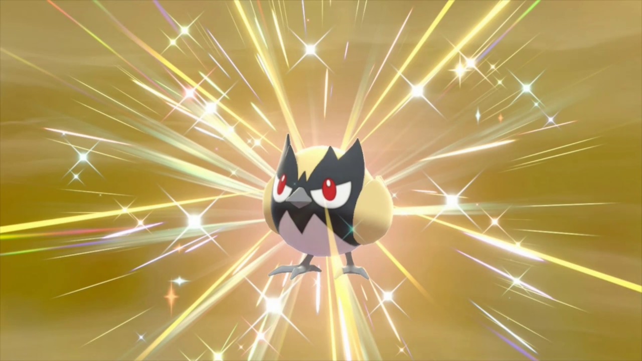 Shiny Rookidee - YouTube