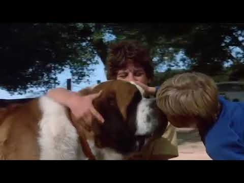 todas las muertes de cujo (1983) - YouTube