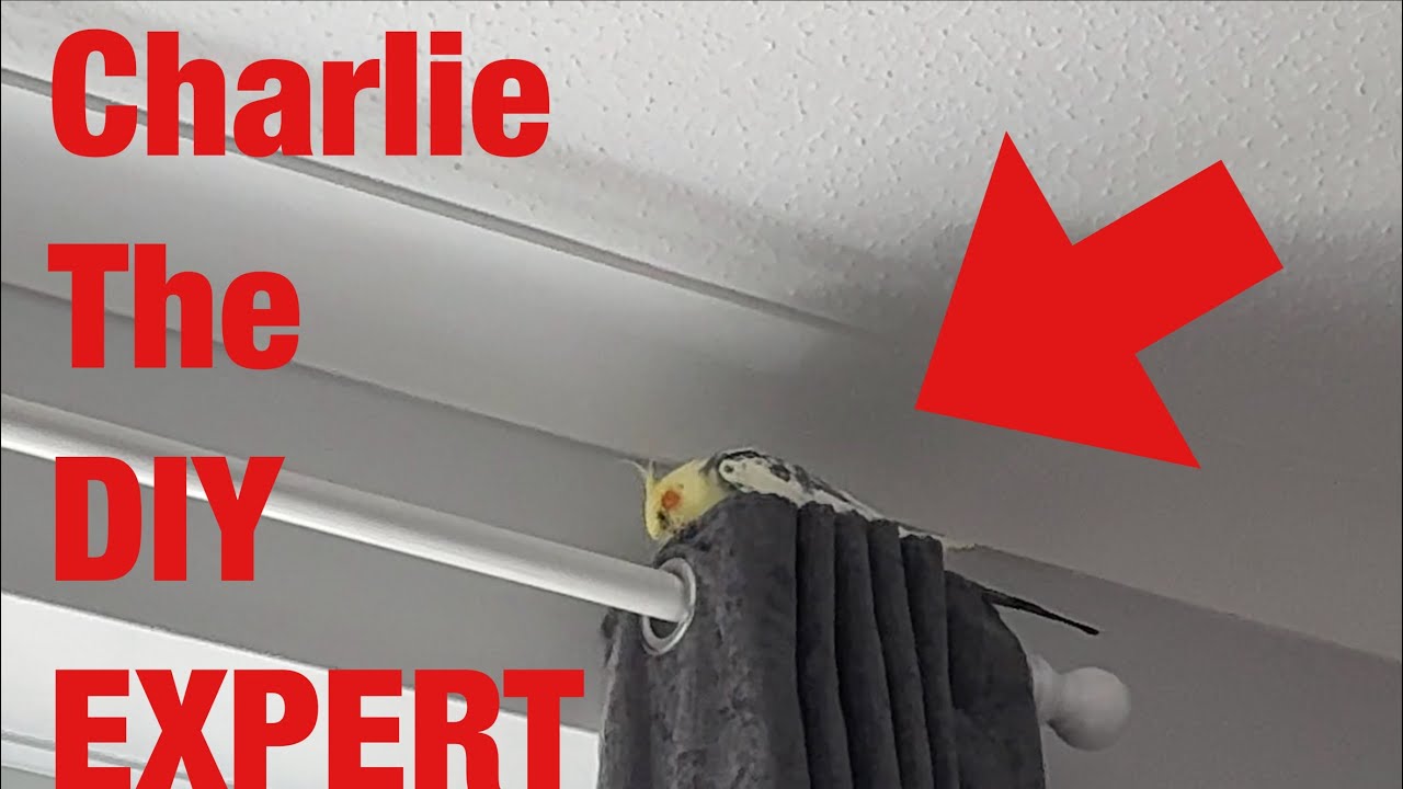 How To Put Up Curtains (DIY With Charlie) - YouTube