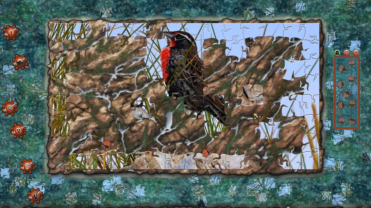 Pettirosso Pixel Puzzles 2 Birds 21 - YouTube