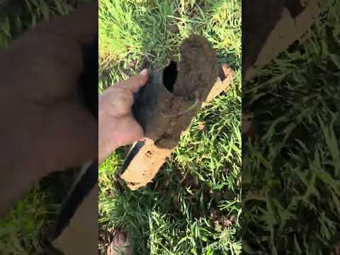 Lütfen bİzler için şzlermisiniz bu gariplere umut olmak için ❤️