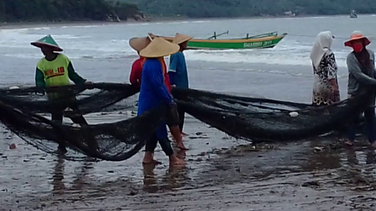 Pantai gemah ketika para nelayan menarik jala. - YouTube