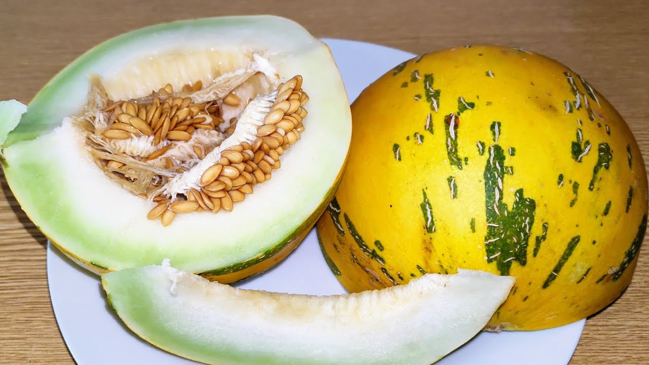 Thraki Melon - a rare Balkan variety - YouTube