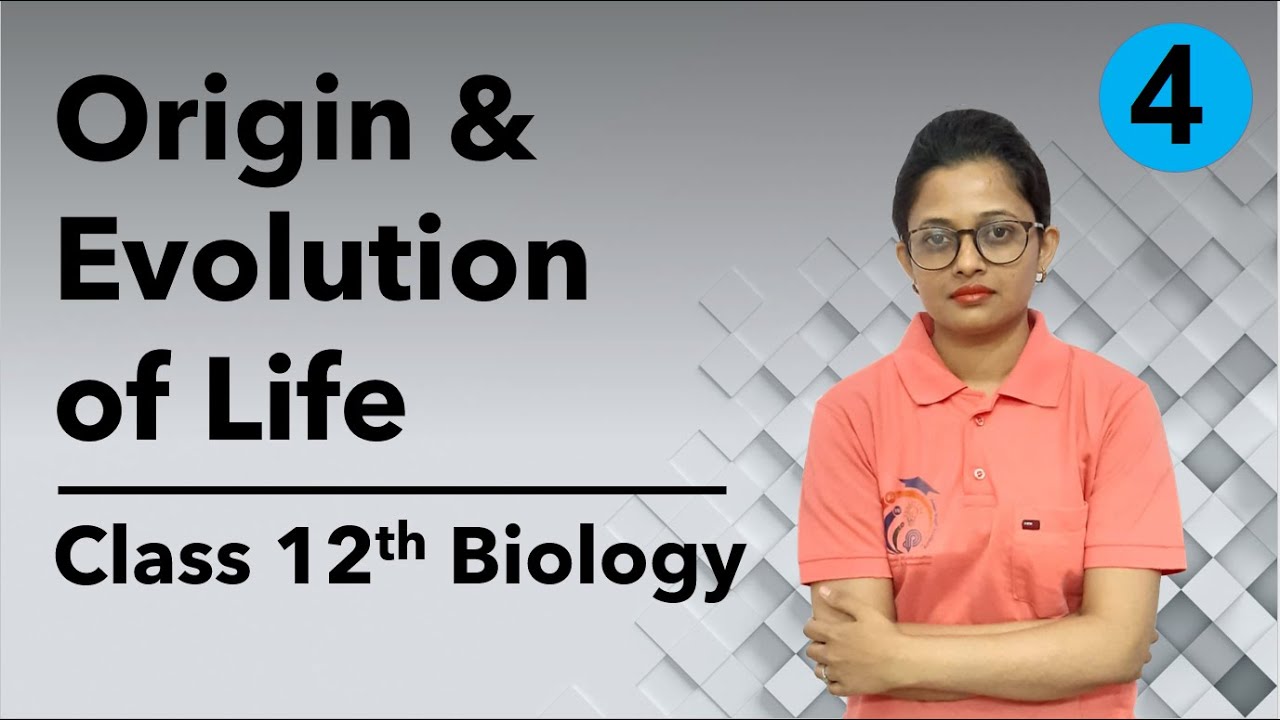 Origin and Evolution of Life Class 12th Biology Part 4 - YouTube