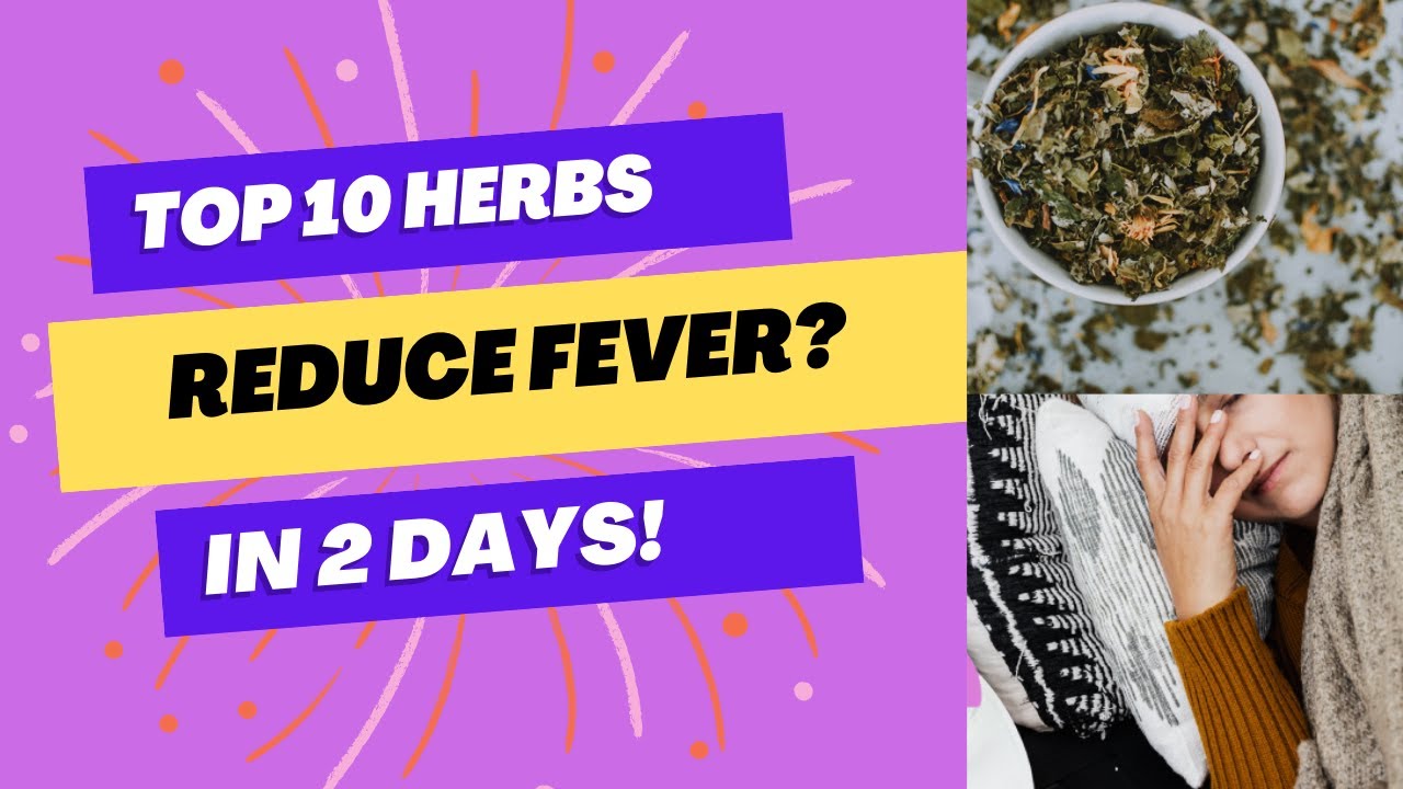 REMOVE FEVER in 10 Amazing Herbs DIY - YouTube