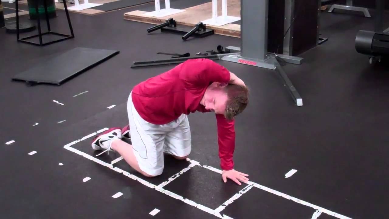 Quadruped Kneeling Rotation Extension.MP4 - YouTube