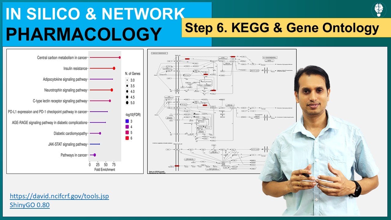 Network Pharmacology (Part 7) | KEGG and Gene Ontology Analysis ...