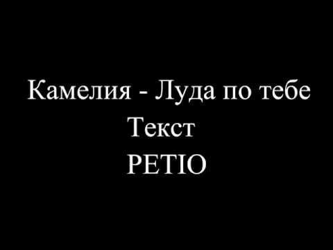 Камелия - Луда по тебе [FULL HD] [ТЕКСТ] | ppettrov