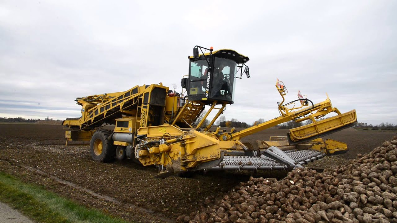 ROPA MAUS 5 - YouTube