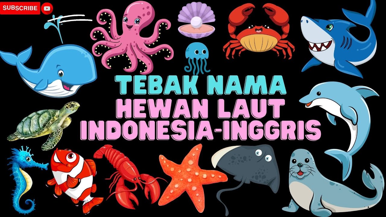 BELAJAR MENGENAL NAMA-NAMA HEWAN LAUT DALAM BAHASA INDONESIA BAHASA ...