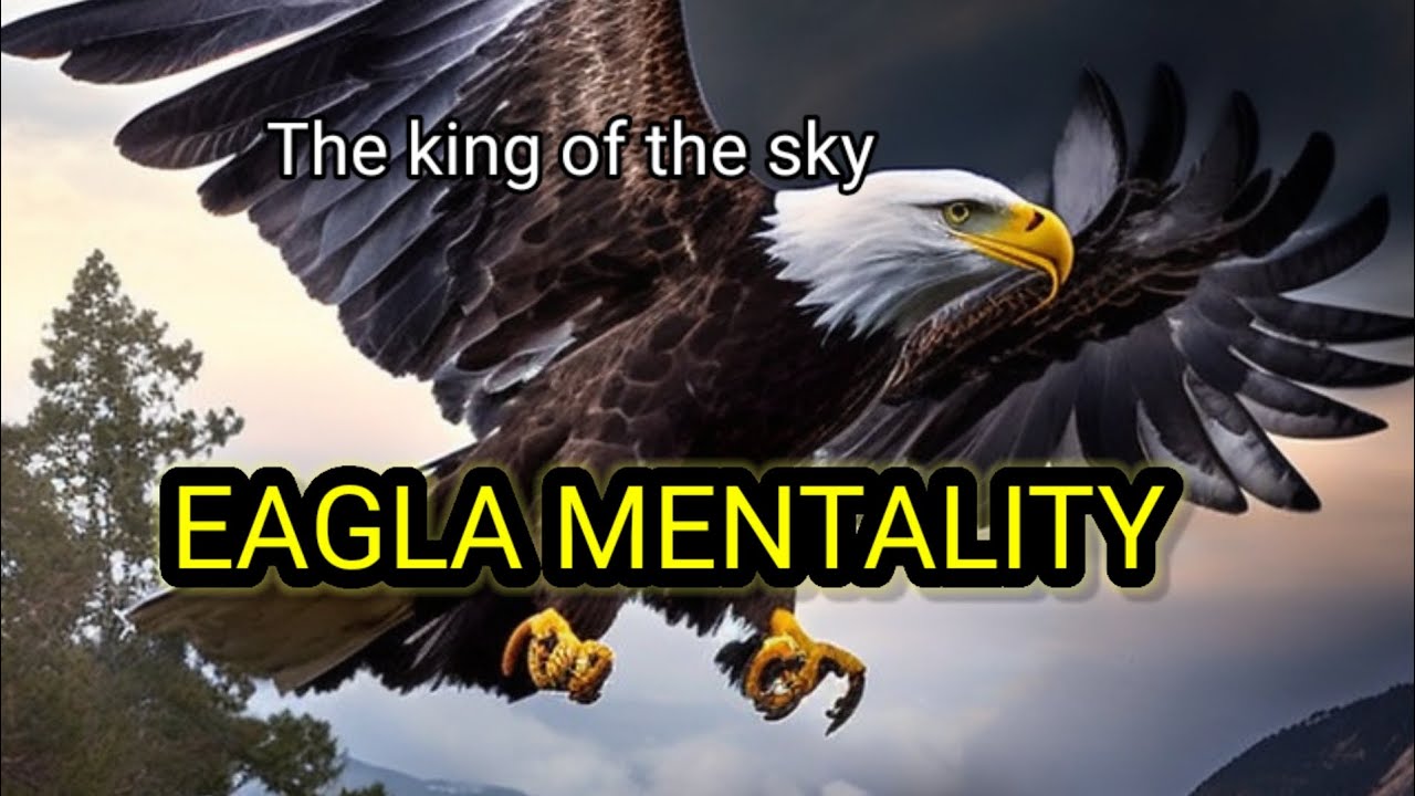 The Eagle Mentality - Best Motivational Video#100kids - YouTube