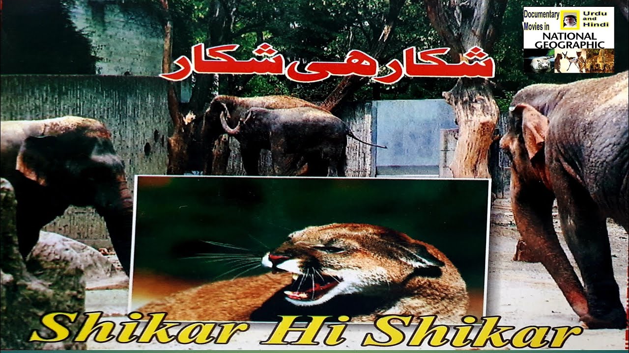 shikar hi shikar animal in urdu / hindi full movie - YouTube