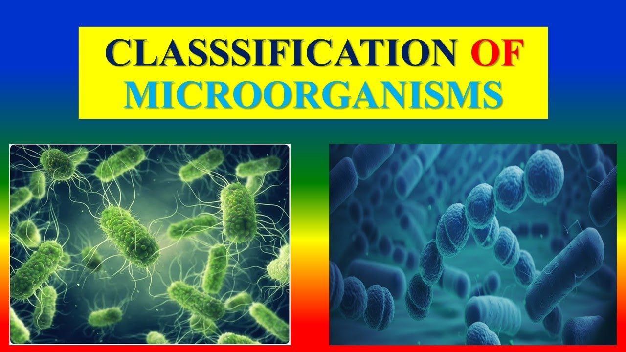 GENERAL CHARACTERISTICS OF MICROORGANISMS - YouTube