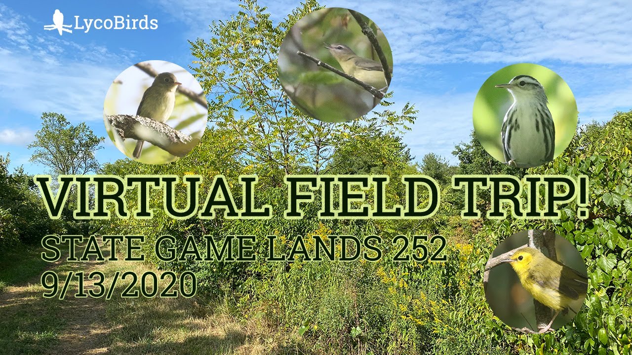 SGL 252 Mini Virtual Field Trip - YouTube