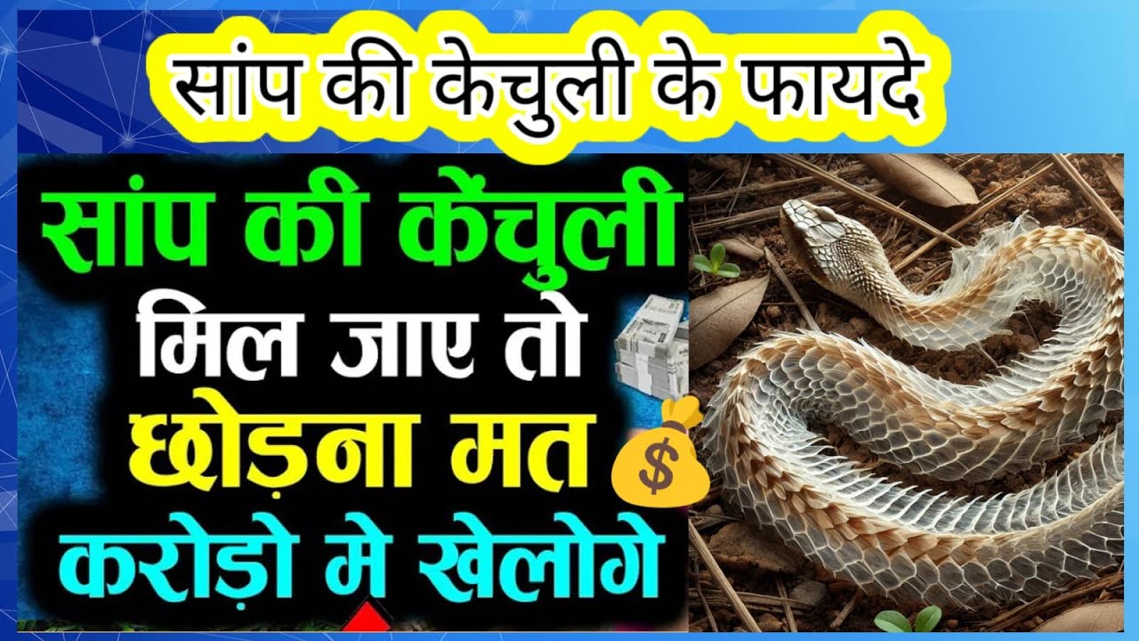 सांप की केचुली के फायदे saap ki kechuli ke fayde मिल जाए तो छोडना मत # ...