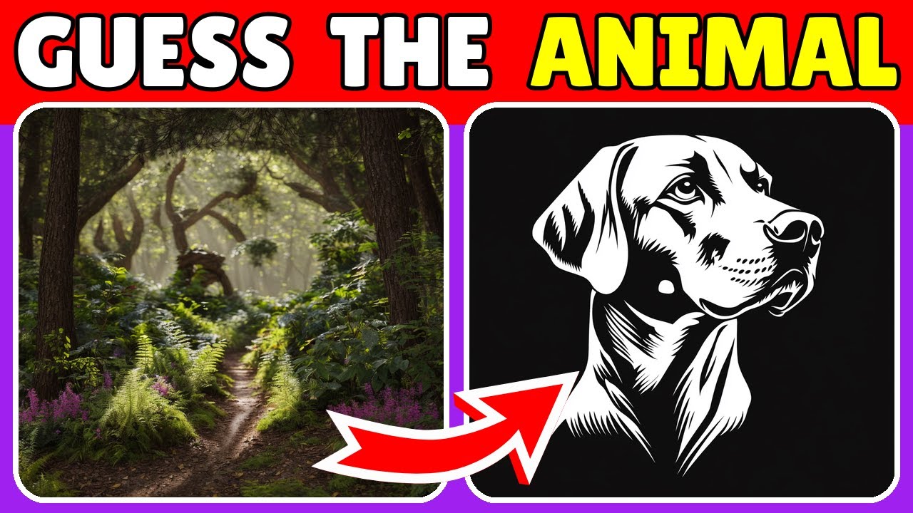 Can You See It? Tricky Animal Illusions Challenge 🔎🐒 - YouTube