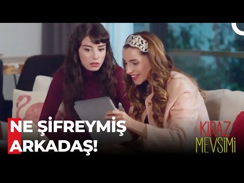 Bana Güvenmiyor Musun Sen?  - Kiraz Mevsimi