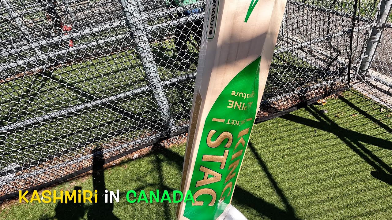 Final Nets Before the Big Game! 🔥 Testing My Kashmiri Willow Beast ...