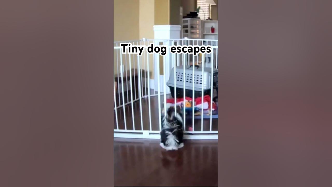 She Is So Small Youtube