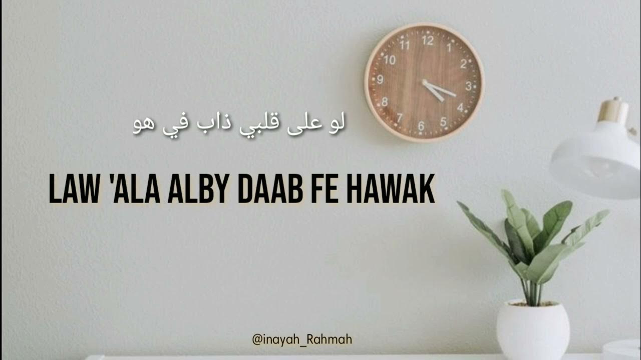 LIRIK Law Ala Albi | Fadl Shaker🎵 - YouTube