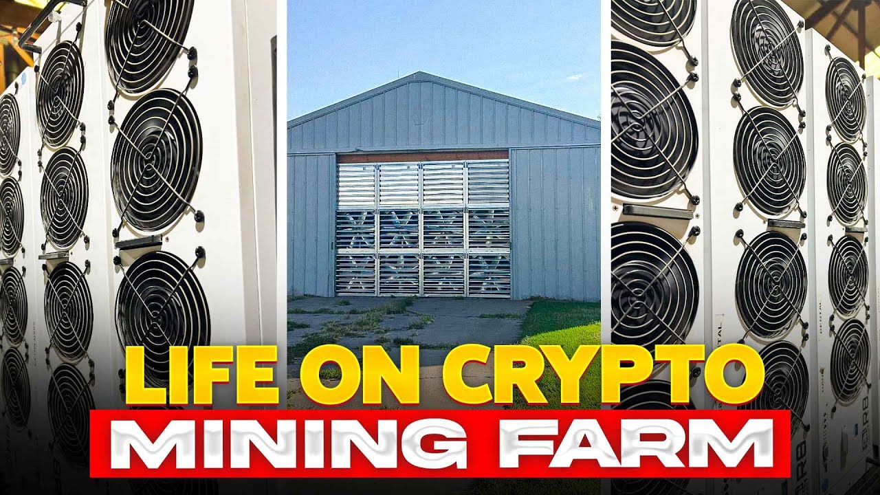5MW Asic Farm Life - YouTube