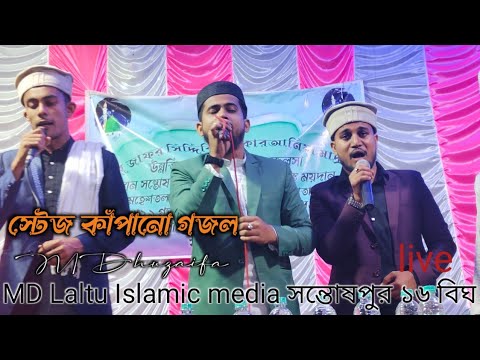 MD Laltu Islamic media is live! MD huzaifa MD imran junior imran#gojol - YouTube