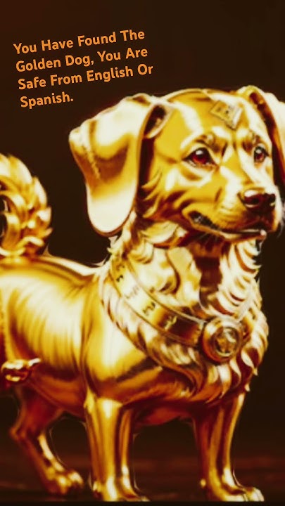 You Have Found The Golden Dog,You Are Safe From English Or Spanish. # ...