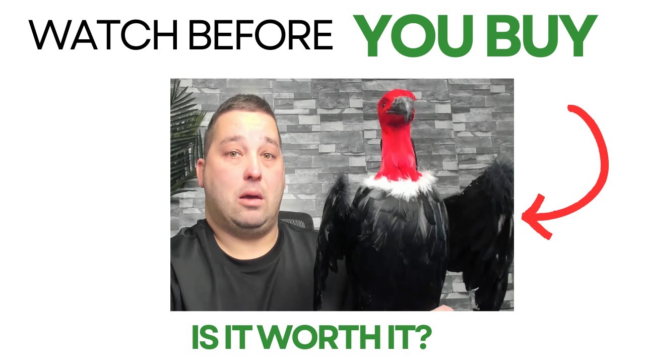 Is this Tenceur 1 Piece Fake Vulture Worth it? - YouTube