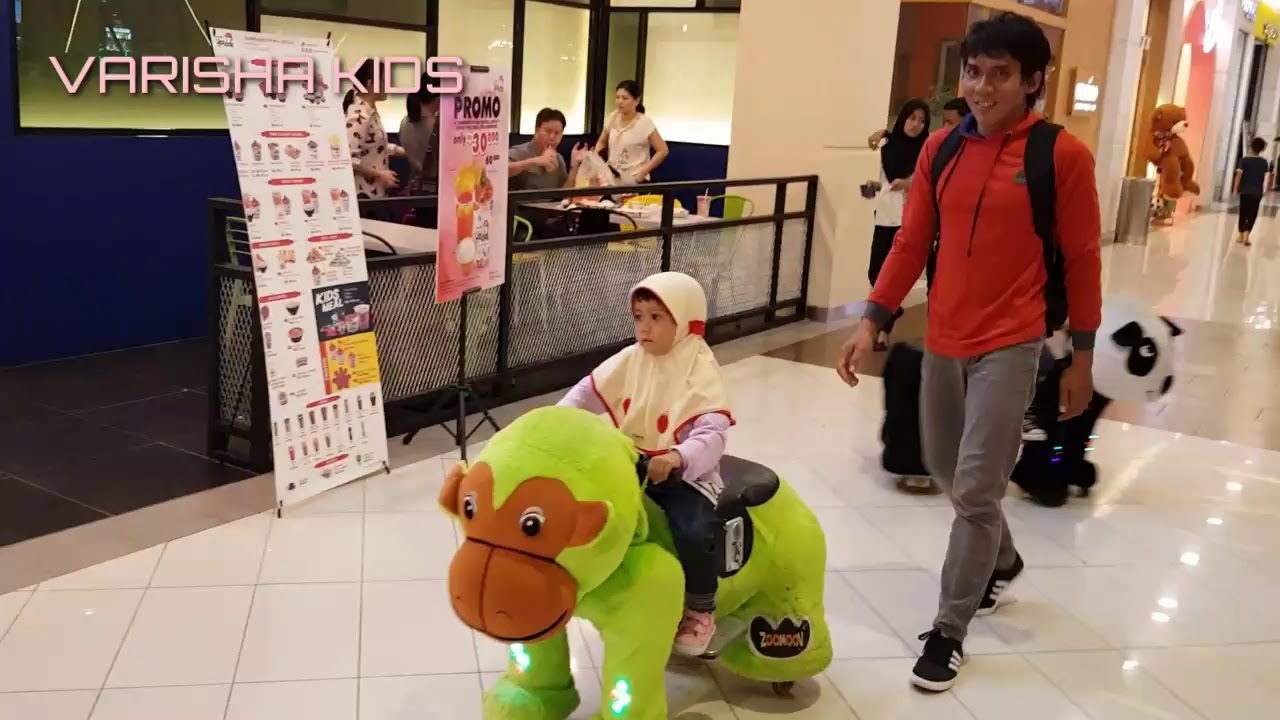 Main Kendaraan Hewan Zoomoov | Naik Hewan Hewanan di Mall | Playing ...