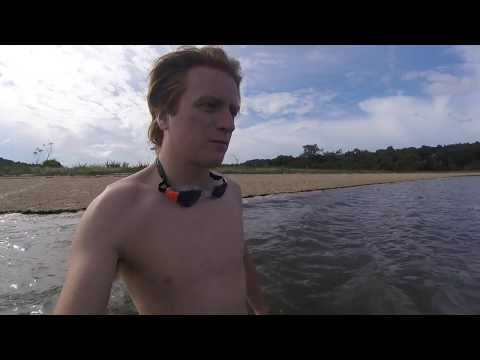 Swimming at Cold Spring Harbor - 9/21/17