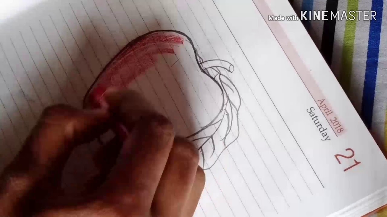 How to colour an apple step by step 🥰🥰 - YouTube