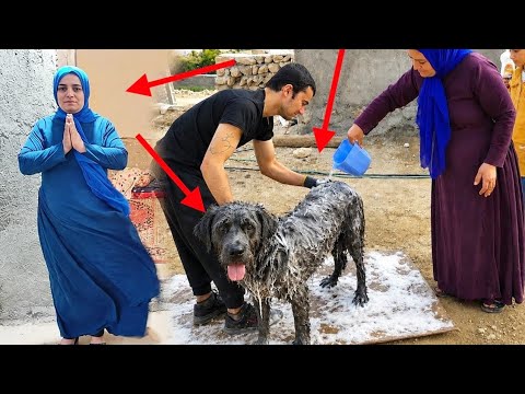 Washing the dog and thanking viewers; two fascinating events together