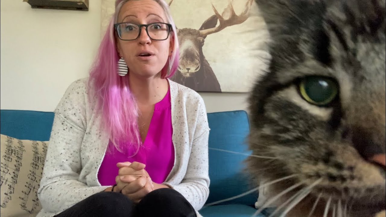 10/17 Musical Storytime with Miss Michelle - YouTube