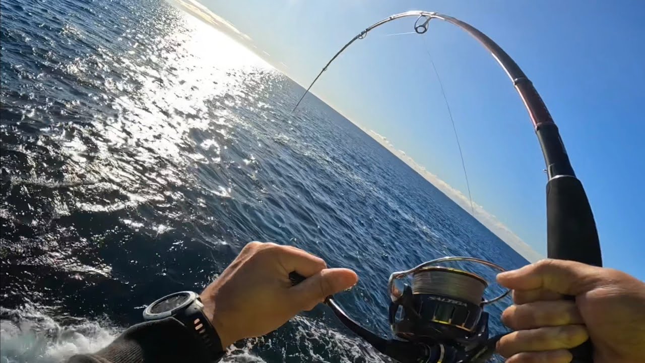 This fish pulls so damn hard! | Catch & Cook | Rock Fishing | Bait ...
