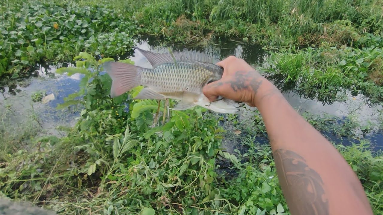 another vlog guys | madami dami tayong huli - YouTube