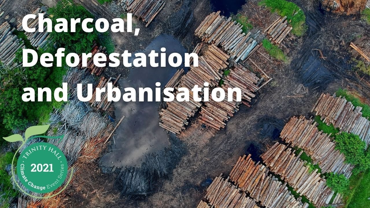 Climate Change and Non-fossil Fuels: Charcoal, Deforestation, and ...