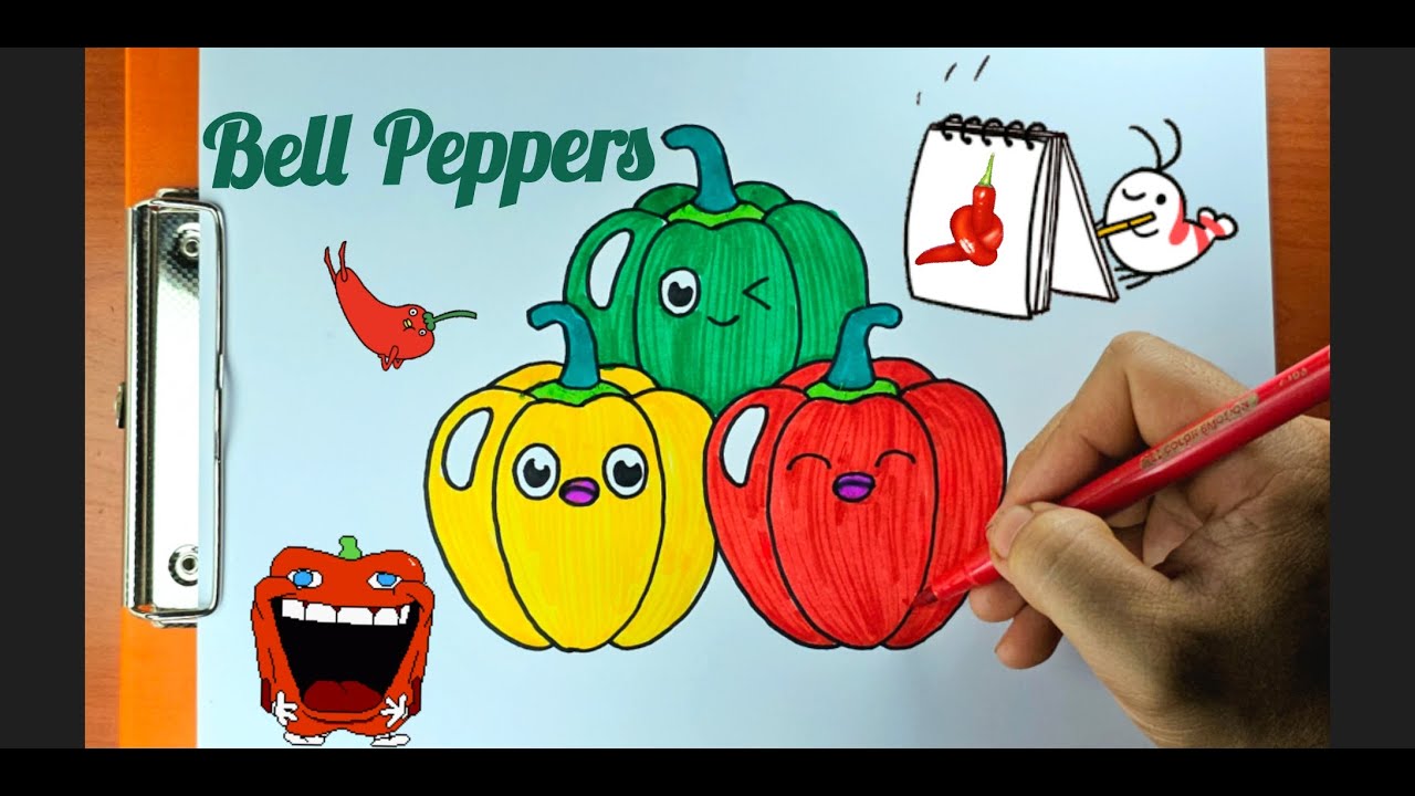 Learn how to draw Bell Pepers easy for kid - Bell Peppers drawing - YouTube