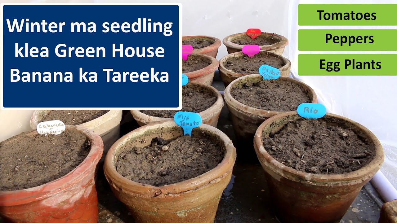 Small green house home gardening klea | How to make small green house ...