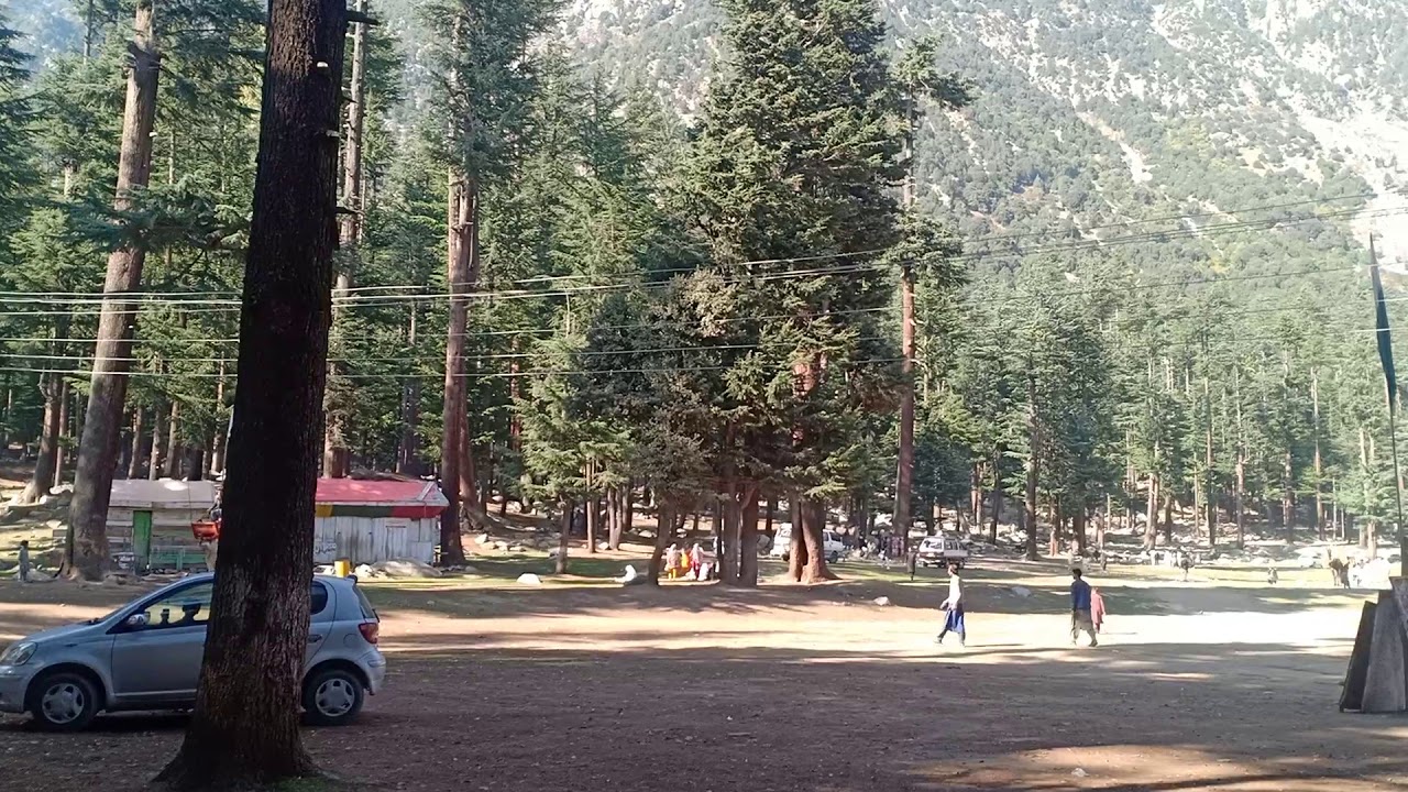 Kalam forest ground - YouTube