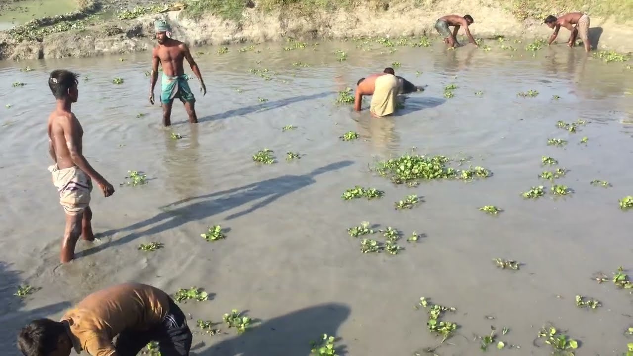 how to catch fish in bangladesh| how to catch fish in river malayalam ...