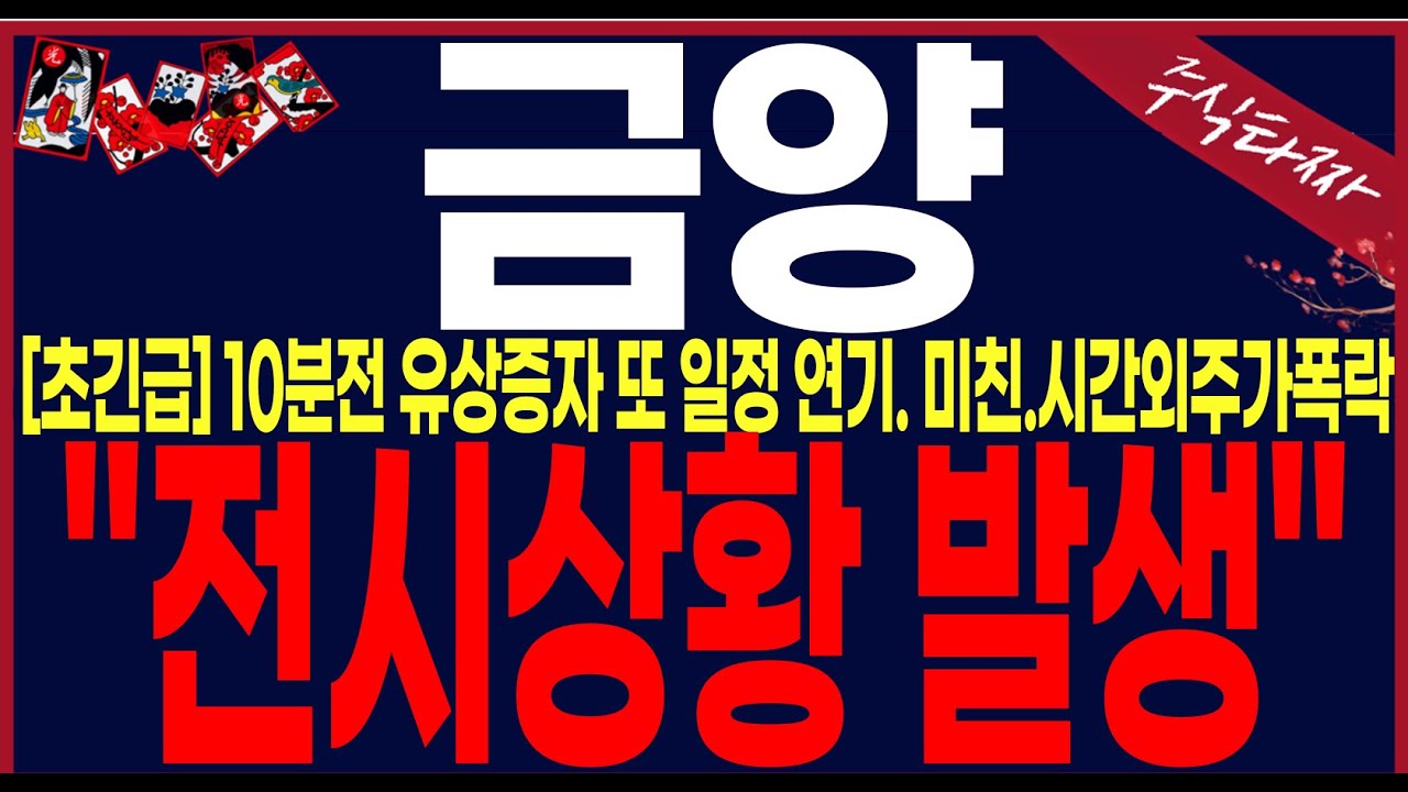 금양 주가 전망 긴급공시시간외급락이대로 하셔야 합니다유상증자 또지연공시발생금양 금양주가전망 금양주가 금양대응전략