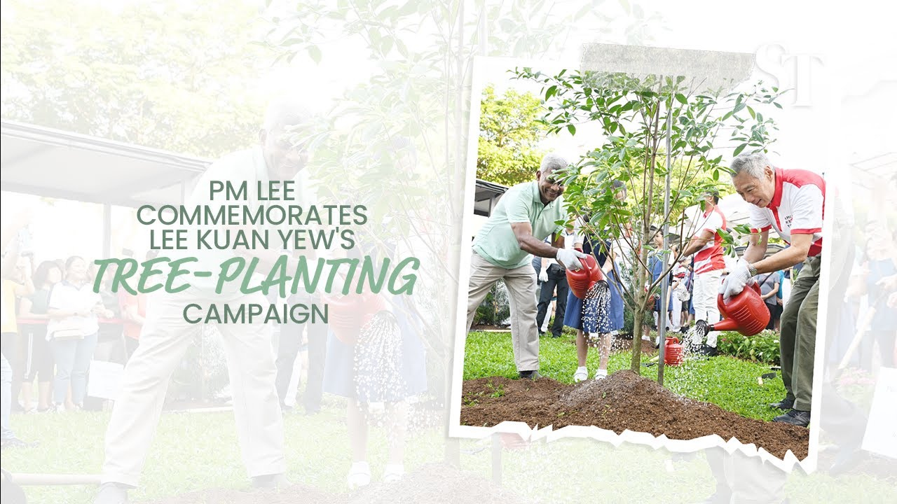 PM Lee commemorates Lee Kuan Yew's tree-planting campaign launched 60 ...