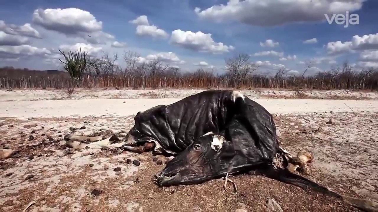 Nordeste - A Maior Seca da História - YouTube