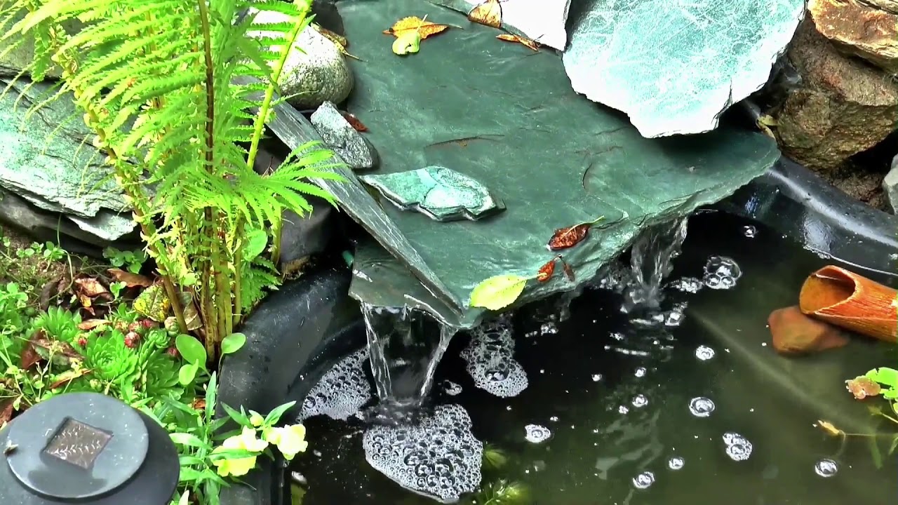 Relaxing Peaceful Music: Mini-pond water and birds sounds for Healing ...