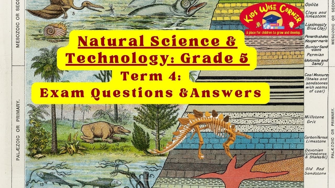 Grade 5 Term 4 Natural Science and technology | Exam Q&A - YouTube