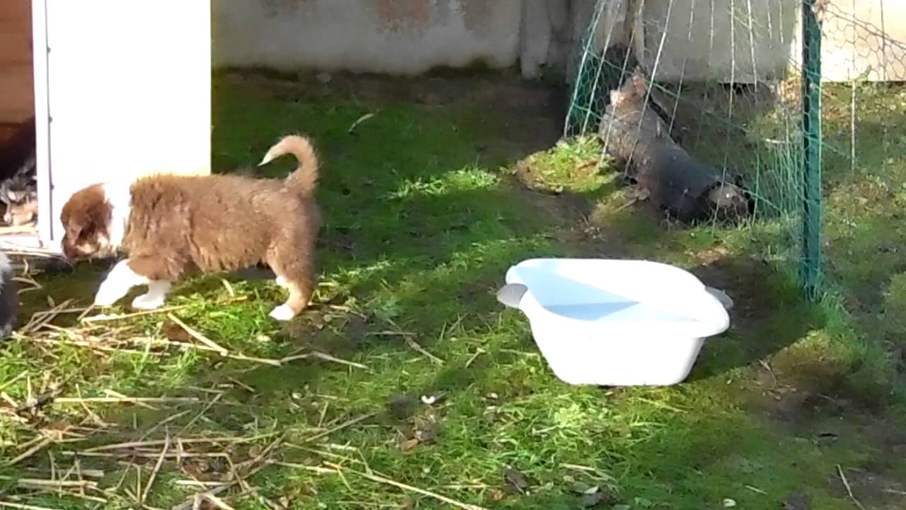 A plus tard... Cela va être l'heure d'un petit dodo ! - YouTube