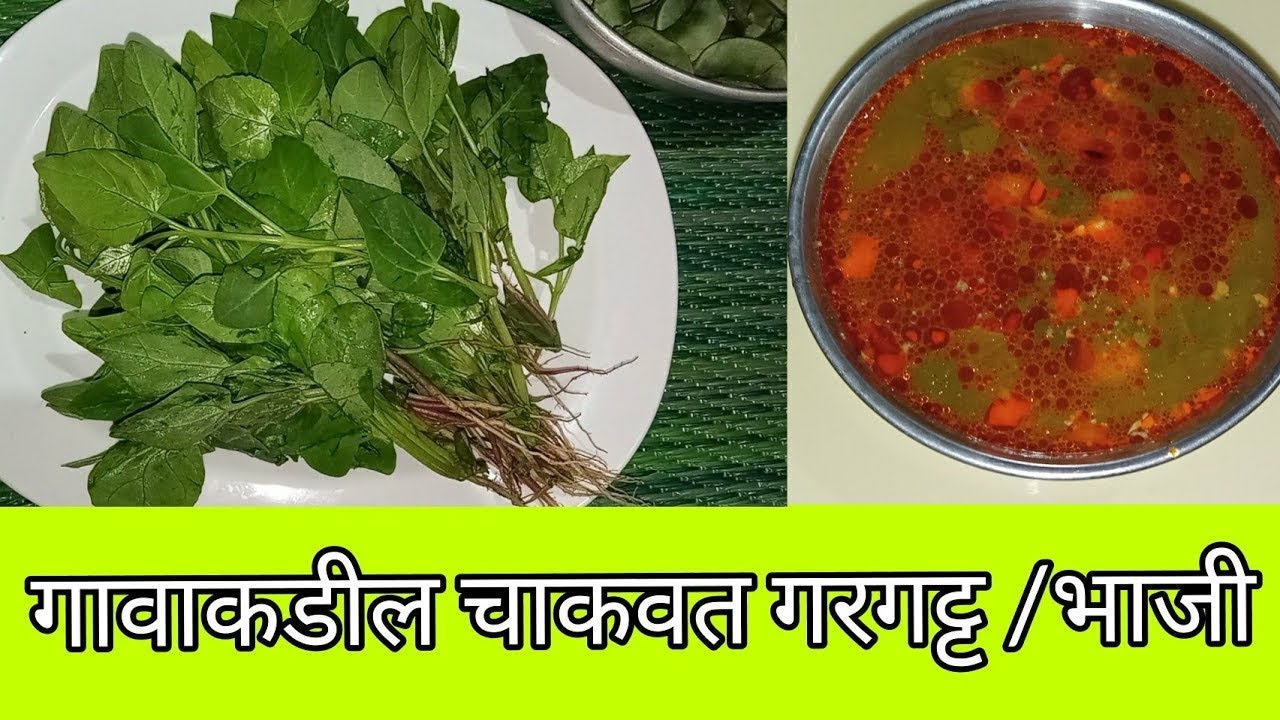 चाकवत भाजीचे गरगट्टा / Chakawat Bhaji Gargatta Recipe In Marathi - YouTube