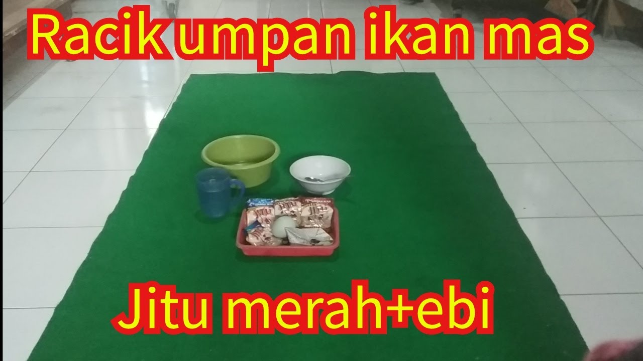 Umpan Racikan ikan mas jitu merah plus ebi - YouTube