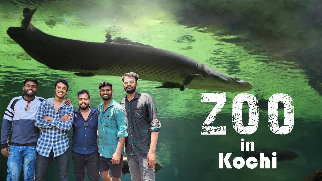 ZOO IN KOCHI I ZOOLAND I 500+BIRDS AND FISHES I MUST WATCH - YouTube